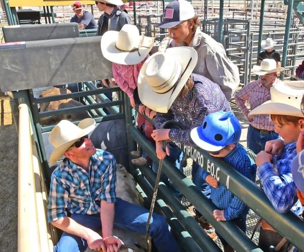 PHOTO GALLERY: Young and old learn 'how to rodeo' | Sports ...