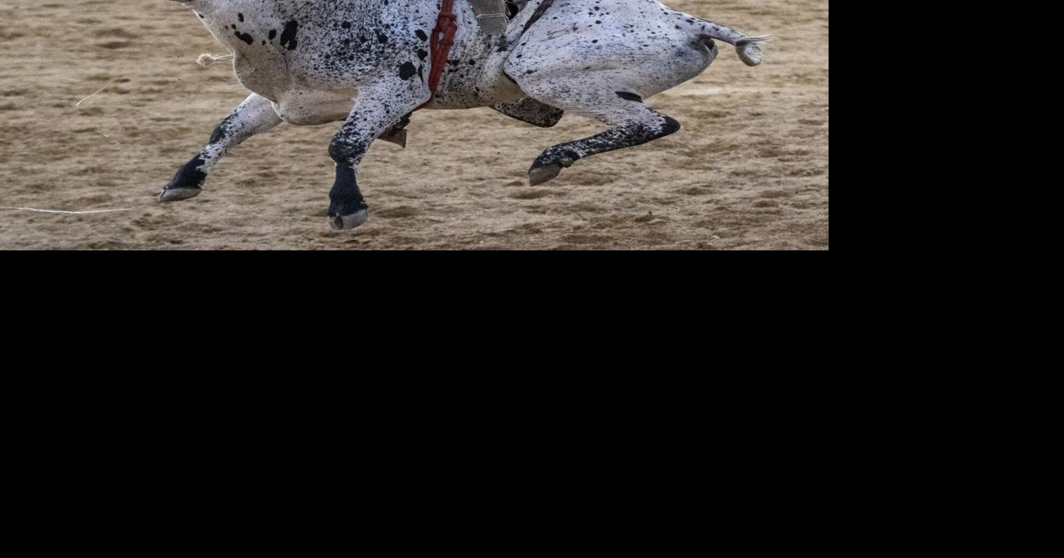 PHOTO GALLERY: Benz Bad Bulls rodeo attracts sellout crowd | Lifestyle ...