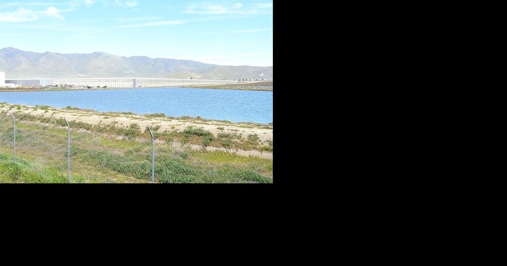 SWP water allocation to 100 percent comes too late to be much help ...