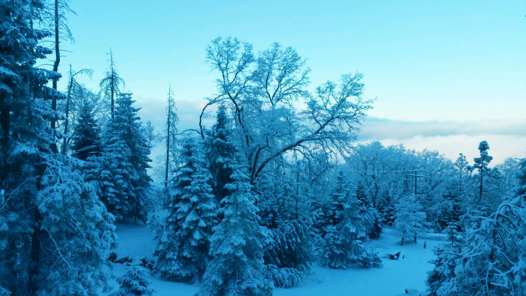 Snow in Tehachapi: A blue winter | News | tehachapinews.com