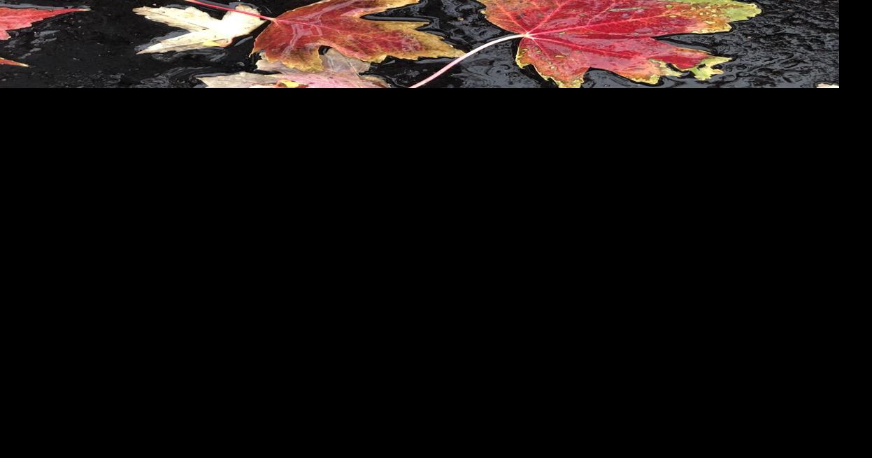 Pen in Hand: The glow-up: an excellent autumn for Tehachapi's ...