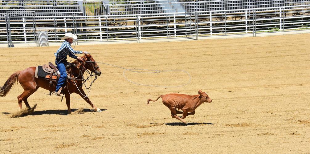Miss Rodeo Kern County selection process continues at the Tehachapi ...