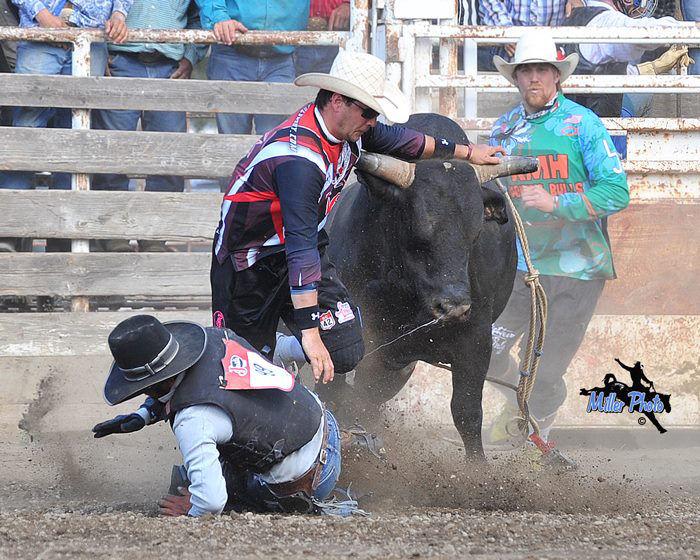 Bullfighters are genuine rodeo athletes | Lifestyle | tehachapinews.com