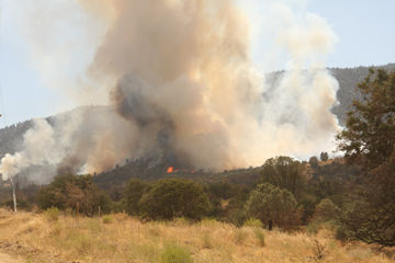 Death confirmed in airplane crash, fire remains out of control | News ...