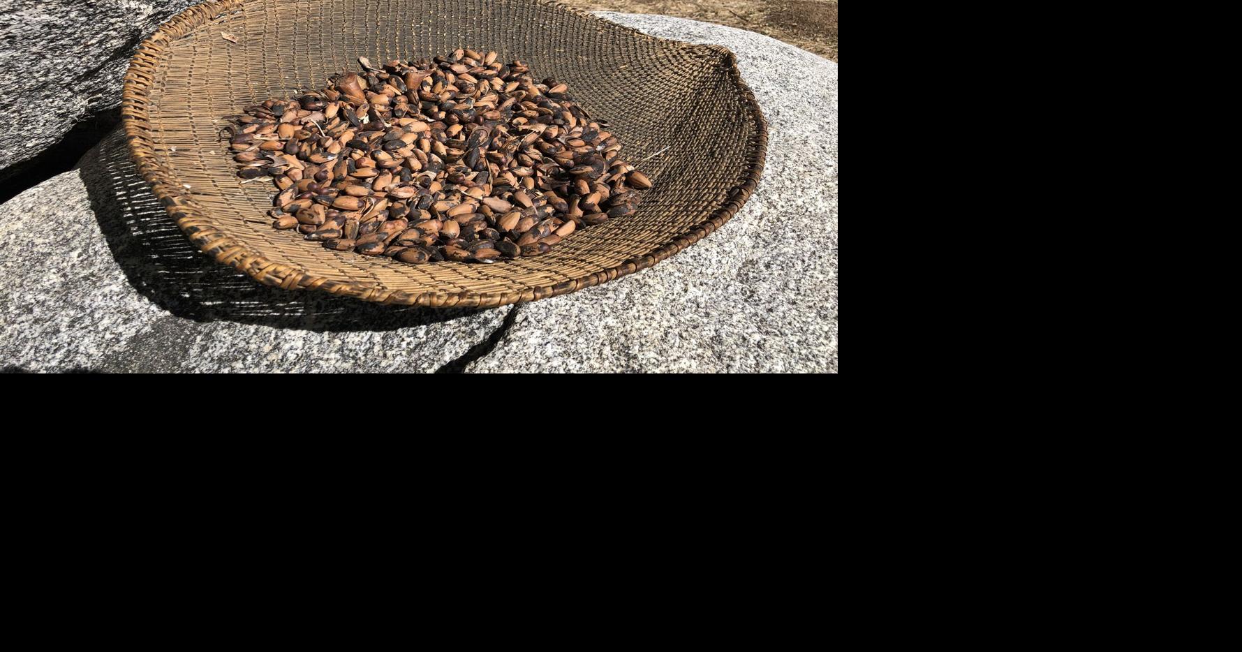 Pen in Hand: Nuwä winnowing baskets: essential tools made from willow ...