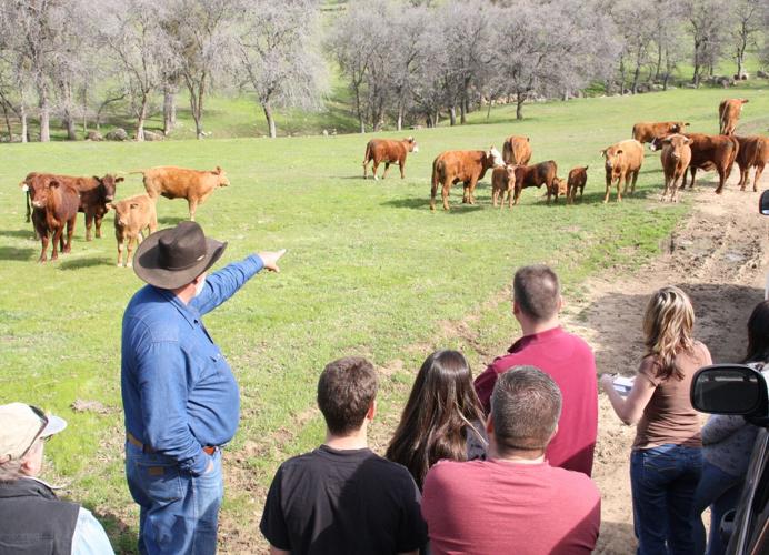 The Loop Ranch: Cattle ranching heritage sets stage for nature preserve ...