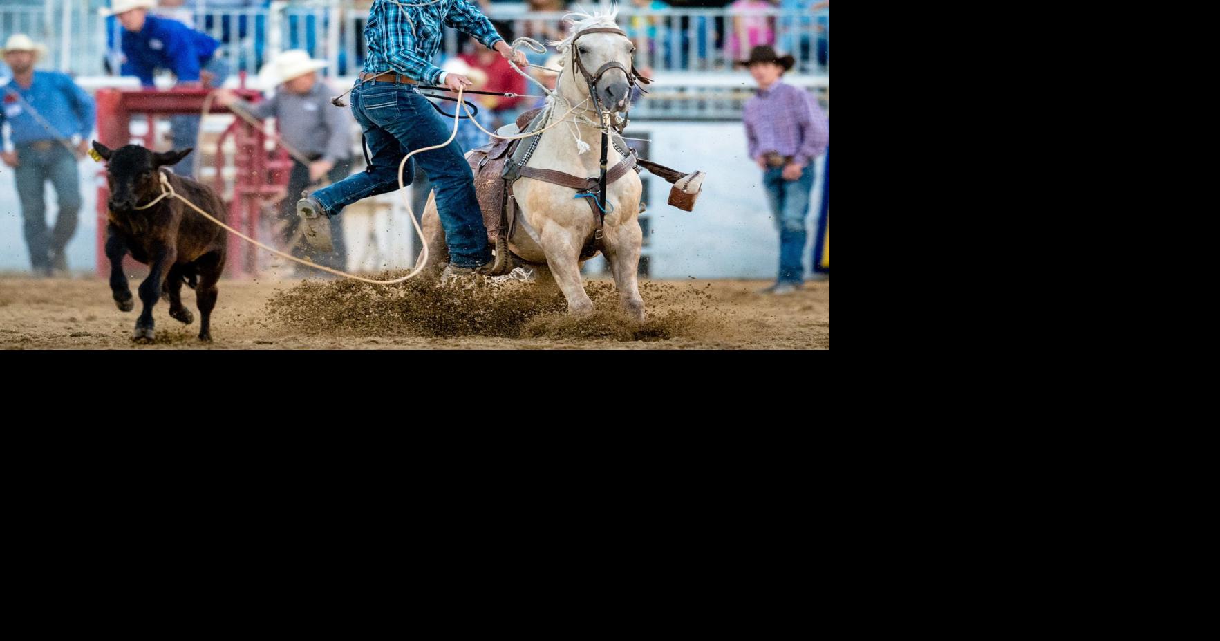 56th Annual Tehachapi Mountain Festival: 2019 Mountain Festival PRCA ...