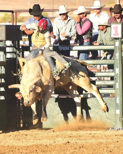 PHOTO GALLERY: Bad Bulls Rodeo entertains crowd | Multimedia ...