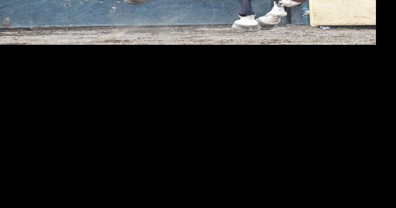 Rodeo kicks off Mountain Festival weekend | Lifestyle | tehachapinews.com