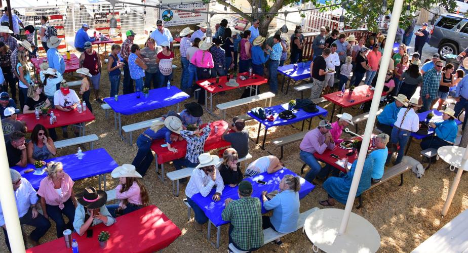 PHOTO GALLERY: TMRA Junior Rodeo completes 2019 season with awards ...