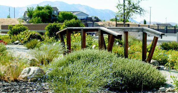 Fire Safe Garden:A little oasis for enjoyment and education | Lifestyle ...