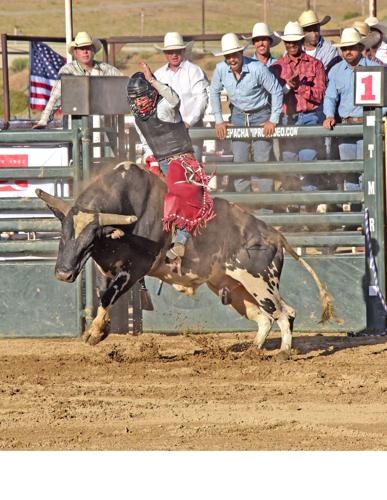 PHOTO GALLERY: Bad Bulls take over Tehachapi Rodeo Grounds | Sports ...