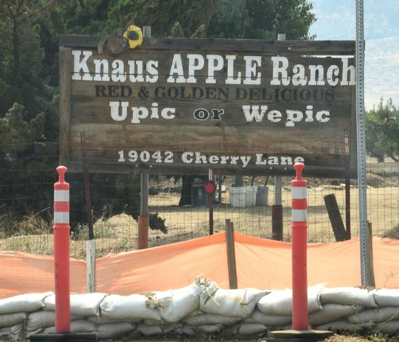 Tasty to the core: Growers report lighter apple crop this season | News ...