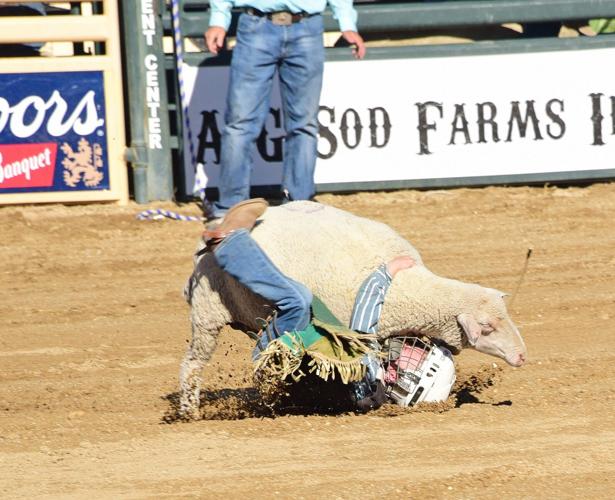PHOTO GALLERY: Bad Bulls take over Tehachapi Rodeo Grounds | Sports ...