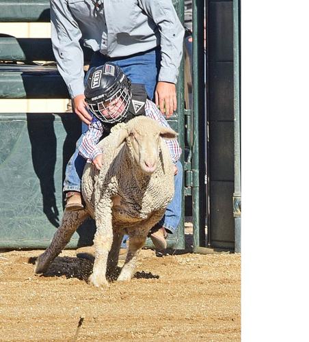 PHOTO GALLERY: Bad Bulls take over Tehachapi Rodeo Grounds | Sports ...