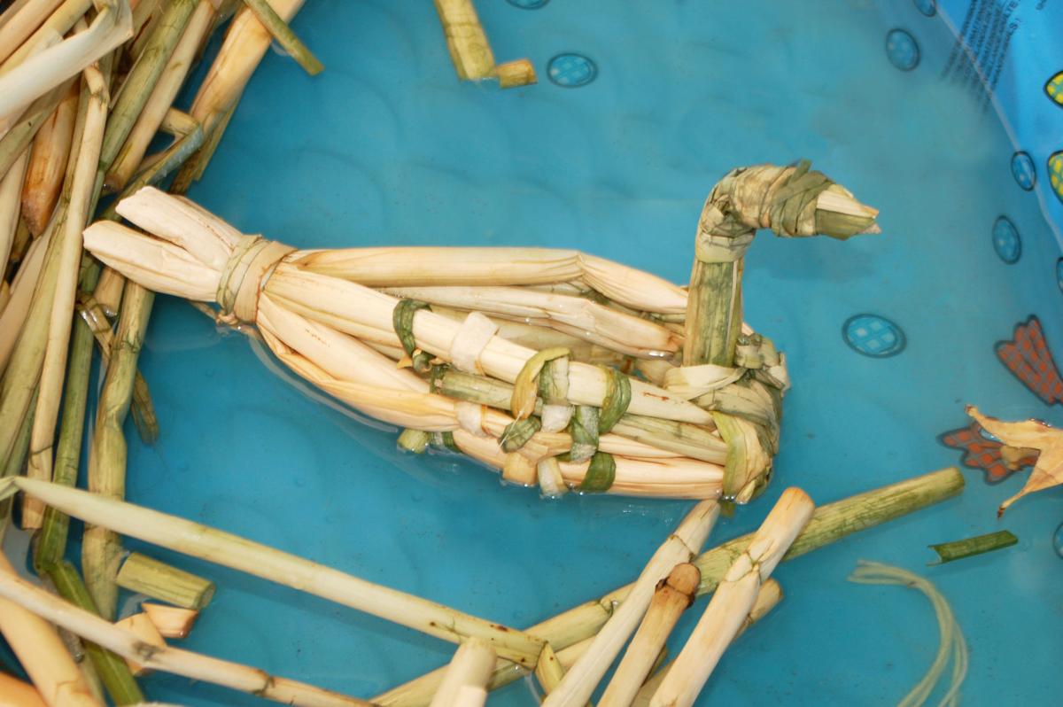 Pen In Hand: Tule duck decoy: an ancient California craft continues ...