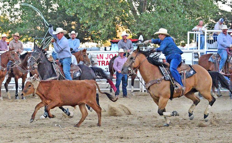 PHOTO GALLERY: PRCA Rodeo a hit during Mountain Festival | Sports ...