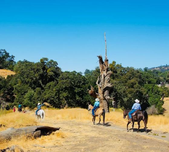California State Horsemen hold Trail Trial Championships in Bear Valley ...