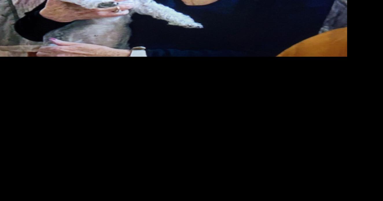 Carol Block Kemmerer, 1939-2024 | Obituaries | tehachapinews.com