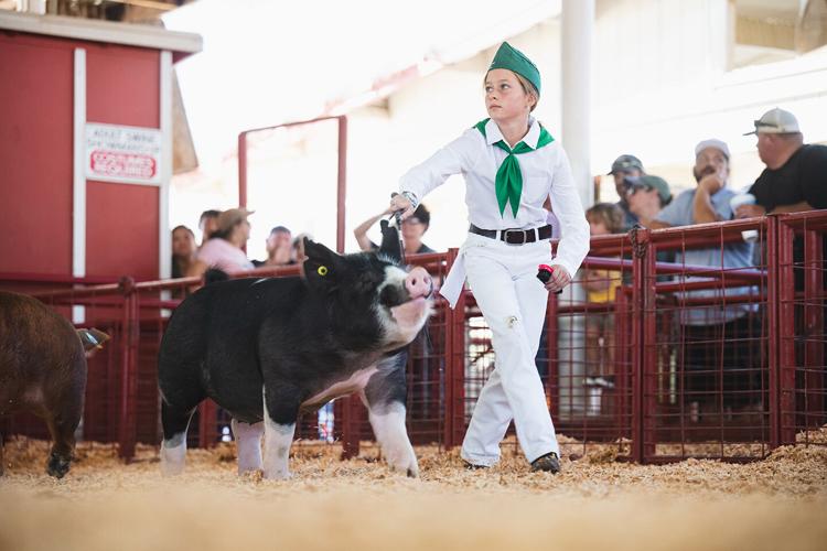 4 Seasons 4-H Club members showed projects at Kern County Fair ...