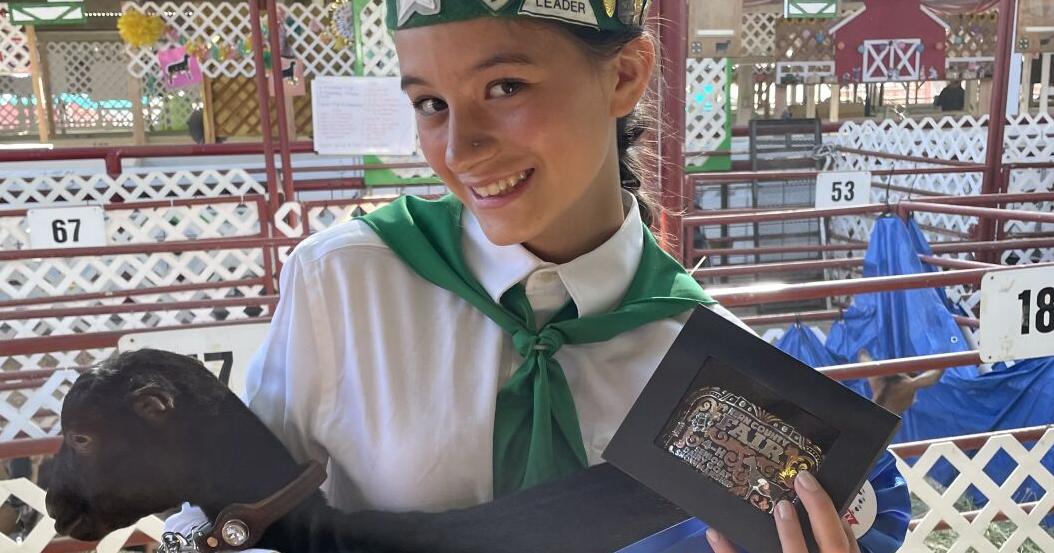 Stallion Springs 4h succeeds at the fair | Lifestyle | tehachapinews.com