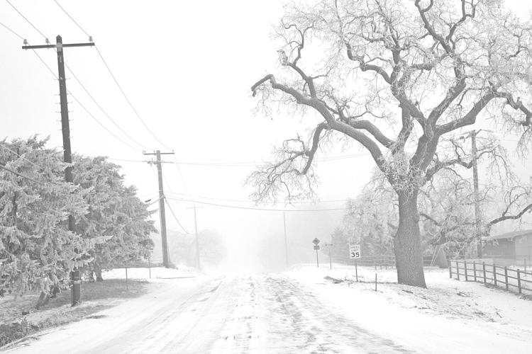 PHOTO GALLERY: Winter wonderland | News | tehachapinews.com