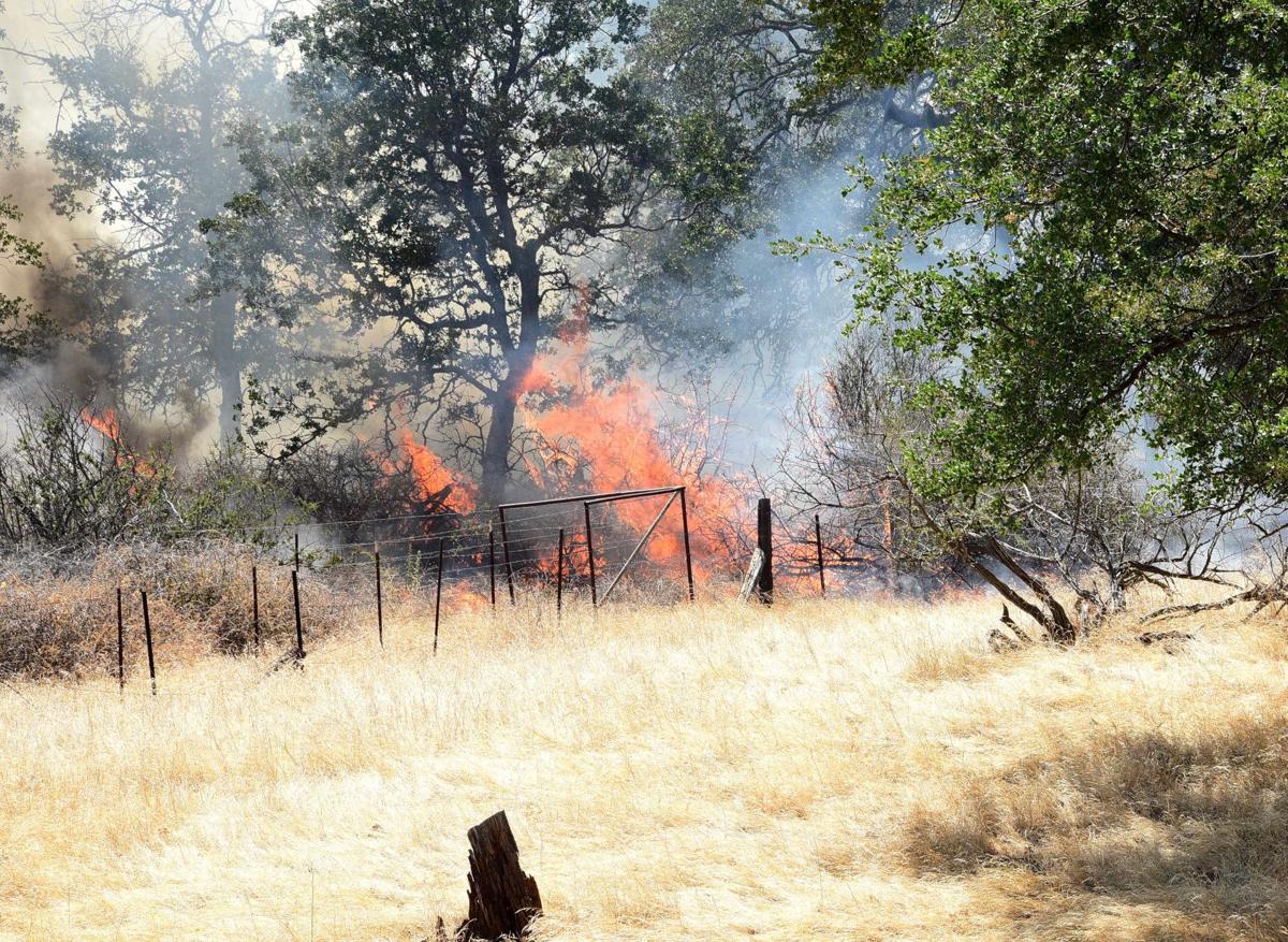 PHOTO GALLERY: Hart Flat fire held to 35 acres | News | tehachapinews.com