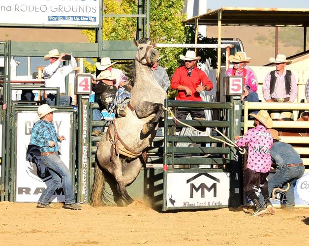 PHOTO GALLERY: PRCA Rodeo a hit during Mountain Festival | Sports ...