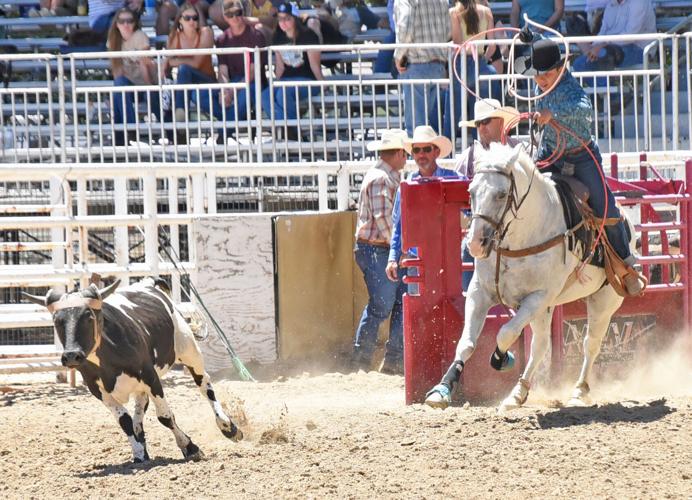 PHOTO GALLERY: Thrills and skills on display at Junior Rodeo weekend ...
