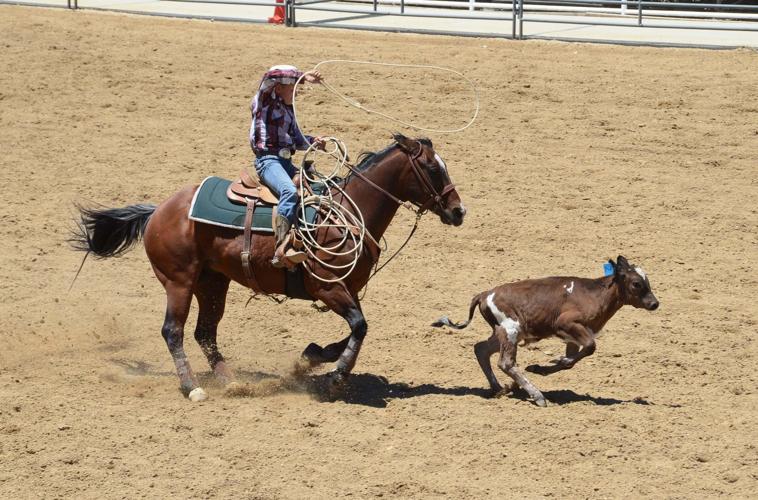 PHOTO GALLERY: Tehachapi Junior Rodeo ropes in start of the season ...