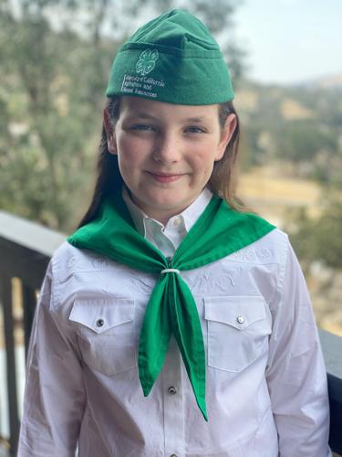 Youngsters ready for Kern County Fair | News | tehachapinews.com