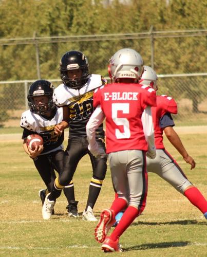 Tomahawks take the field | Sports | tehachapinews.com