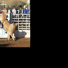 Benz Bad Bulls bull riding tour comes to Tehachapi for July 4 ...
