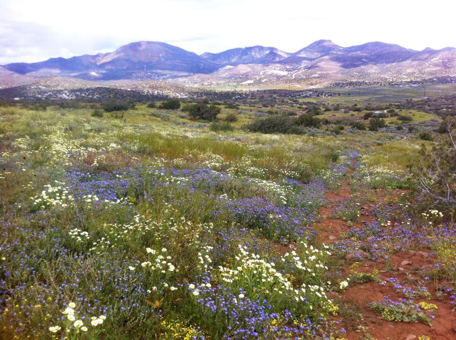 Visitor-guide | tehachapinews.com