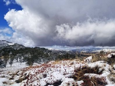 Through Your Lens: Local residents share photos of first snow | News ...