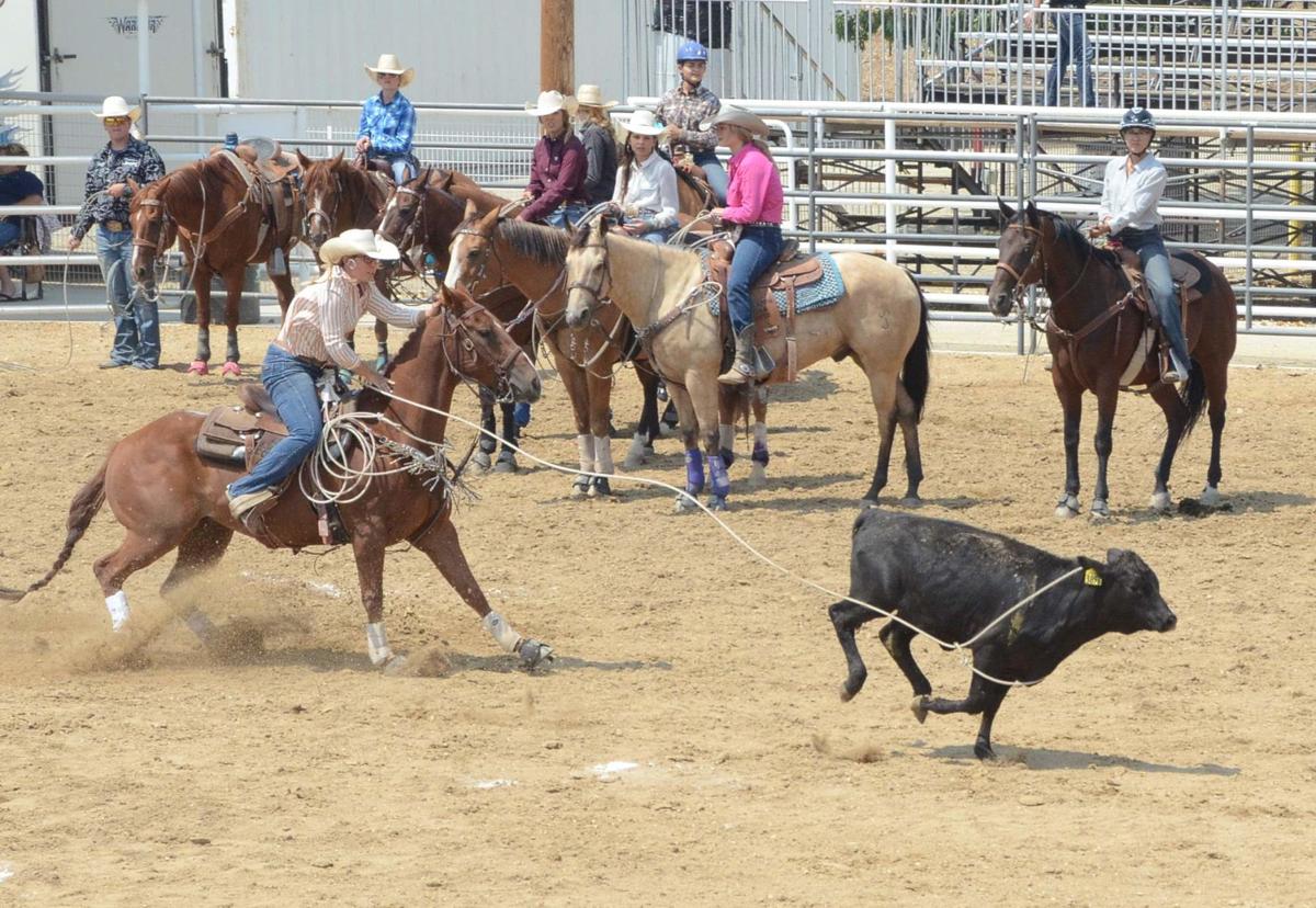 PHOTO GALLERY: 2018 Junior Rodeo competition season wraps up | News ...