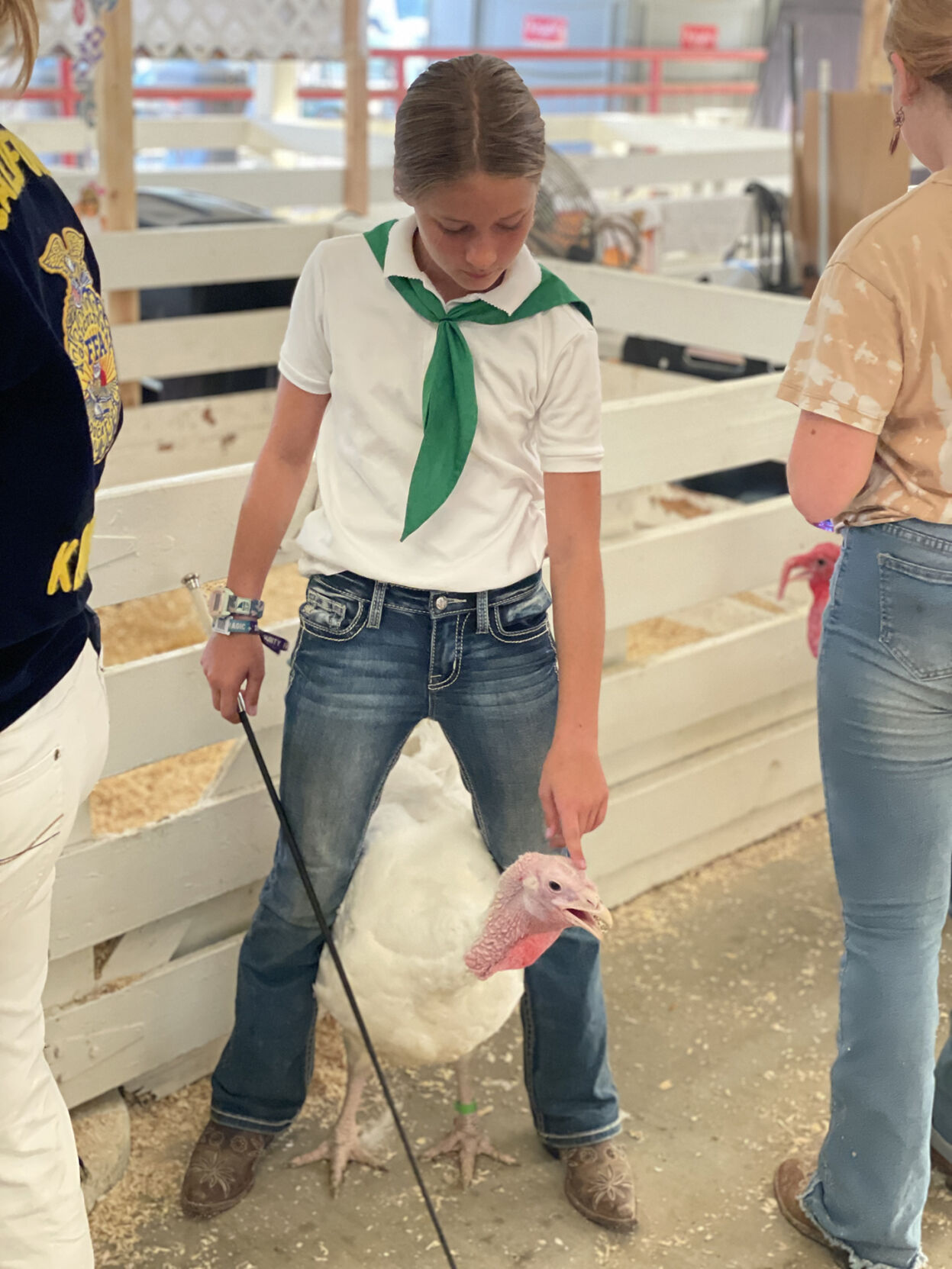 4 Seasons 4-H Club members showed projects at Kern County Fair | Lifestyle | tehachapinews.com