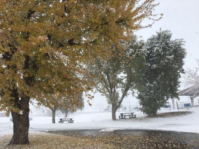 PHOTO GALLERY: Tehachapi sees first snow of season | News ...