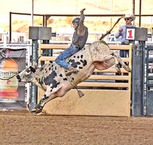 PHOTO GALLERY: Rough stock, rougher rodeo cowboys compete | Sports ...