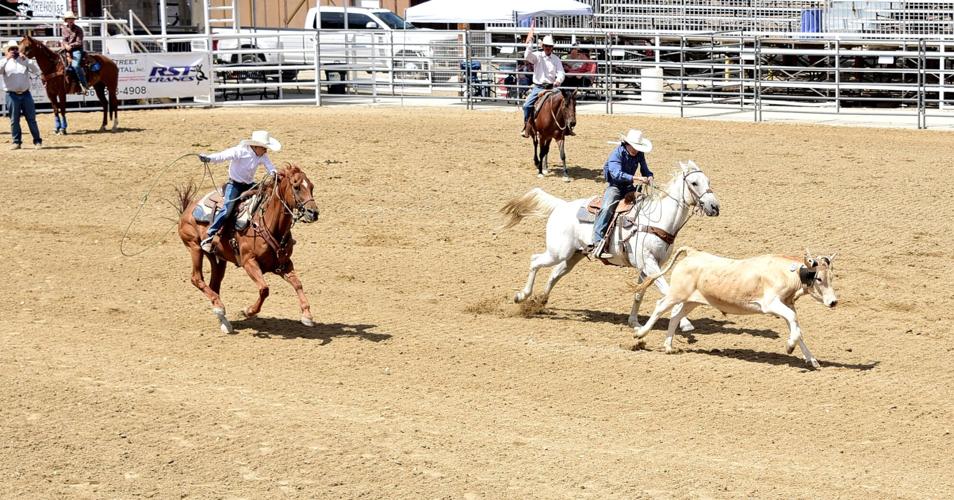 PHOTO GALLERY: Youth show their skills at Junior Rodeo | Sports ...