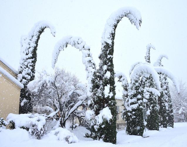 PHOTO GALLERY: Snow creates beauty, problems in greater Tehachapi ...
