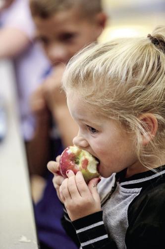Area districts work to introduce local food in school meals | Tri-state ...