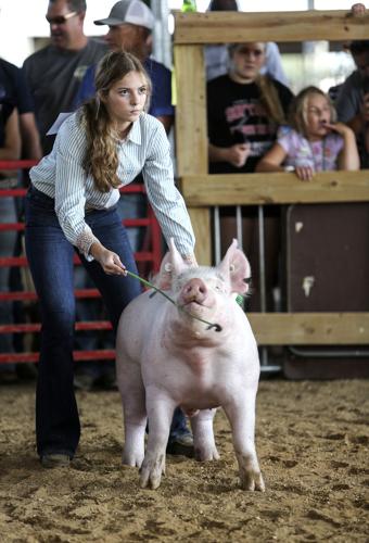 Grant County Fair provides fun for all ages | Tri-state News ...