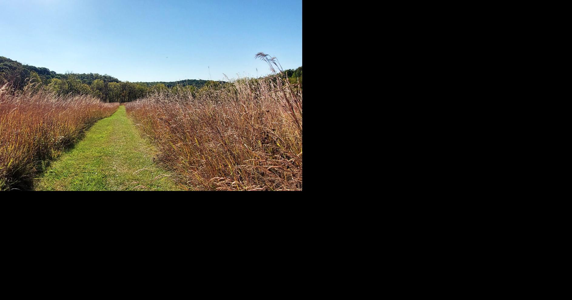 Koch: An autumn excursion into Witkowsky Wildlife Area | Features ...