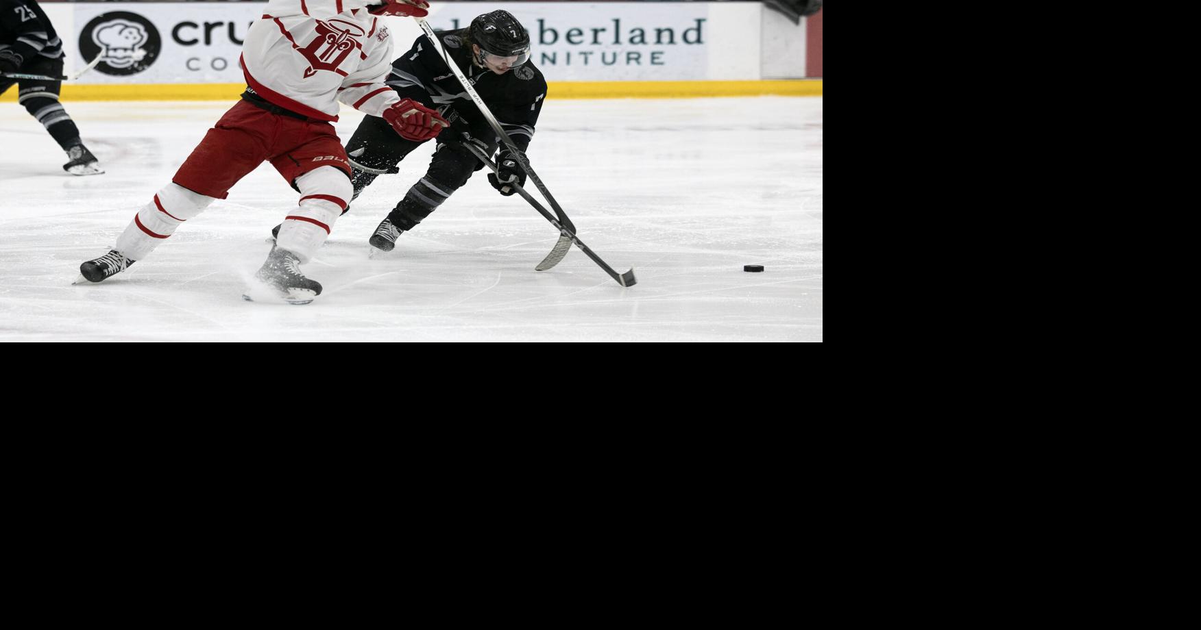 USHL: Fargo wraps up Clark Cup with 3-1 victory over Dubuque | Local ...