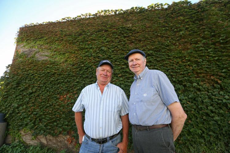 Local Cubs, Reds superfans' excitement amps up ahead of Field of Dreams ...