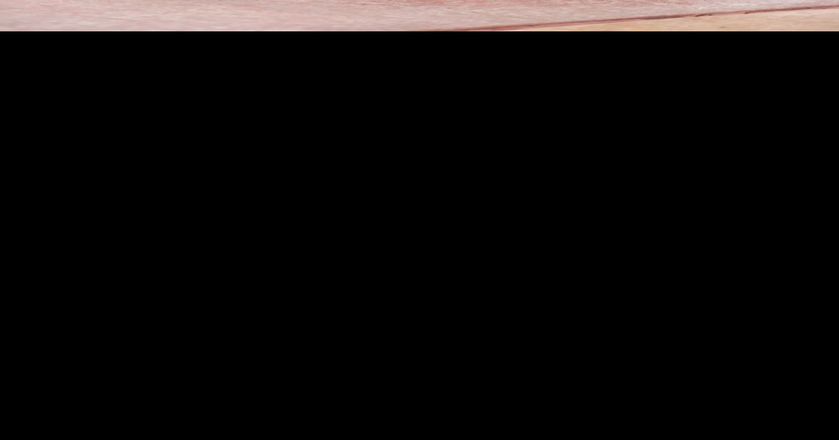 Woman of the Year: Mary Rose Corrigan | Her | telegraphherald.com