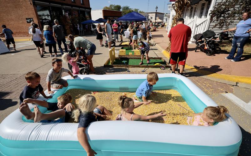 Vendors, crowds have dairy good time at Shullsburg Cheesefest | Tri ...