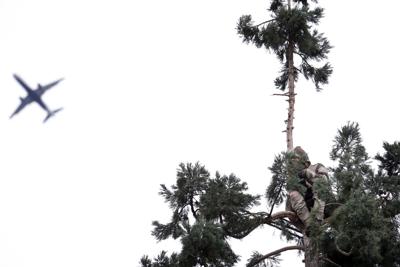Bail set at $50,000 for man who spent a day in Seattle tree | National ...