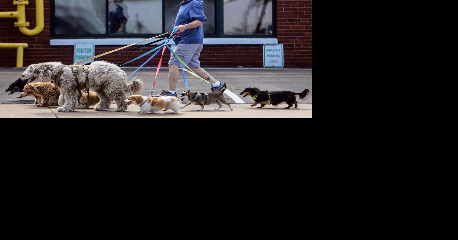 Ruff ramble | Tri-state News | telegraphherald.com